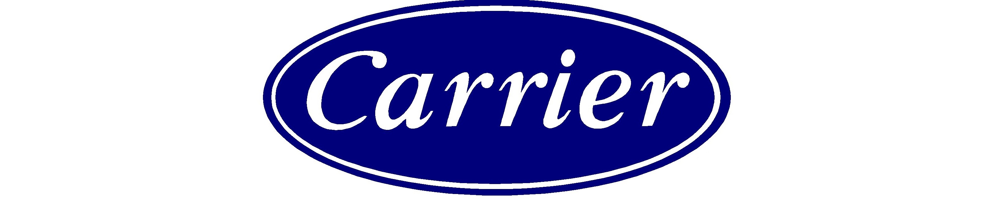 Seminario online sobre Sistemas de Detección de Gas, organizado por la ...